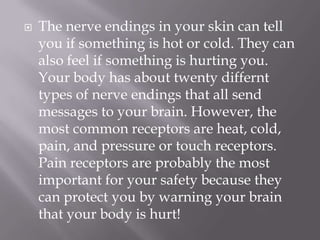 Your sense of touch | PPTX