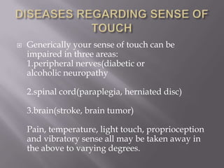 Your sense of touch | PPT