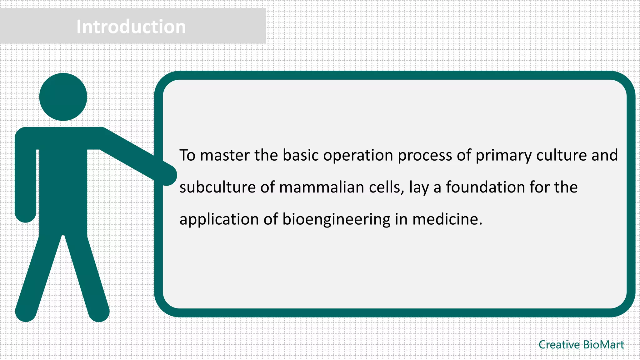 Your step by-step guide to primary cell culture | PPT