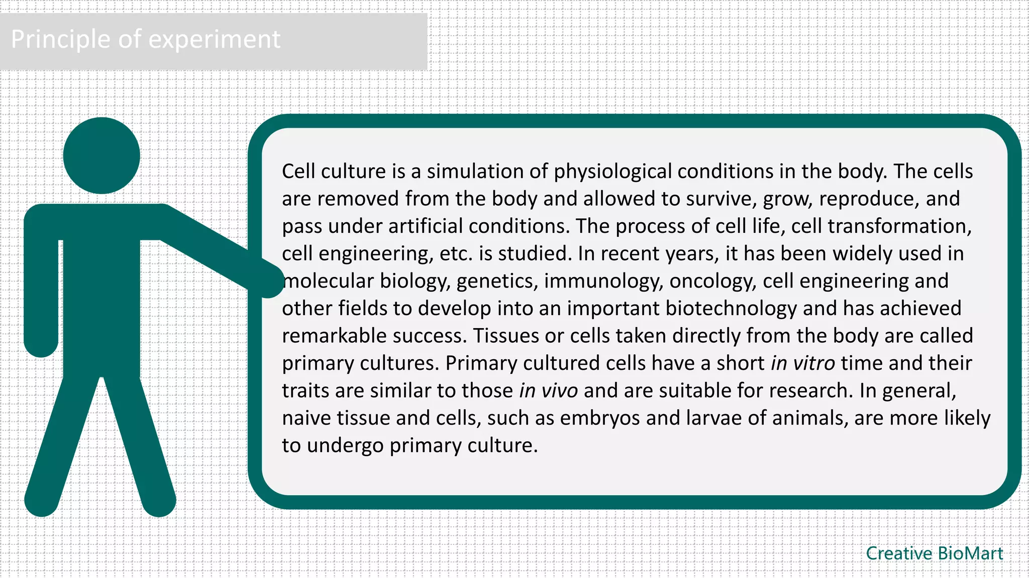 Your step by-step guide to primary cell culture | PPT