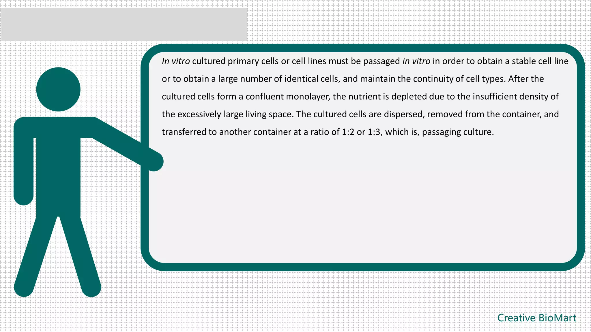 Your step by-step guide to primary cell culture | PPTX | Biological ...