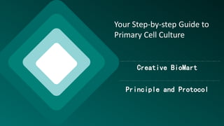 Your step by-step guide to primary cell culture | PPTX | Biological ...