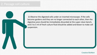 Your step by-step guide to primary cell culture | PPTX | Biological ...