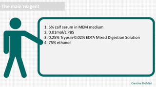 Your step by-step guide to primary cell culture | PPTX | Biological ...