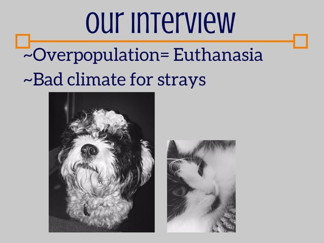 Apathy Project | PPT