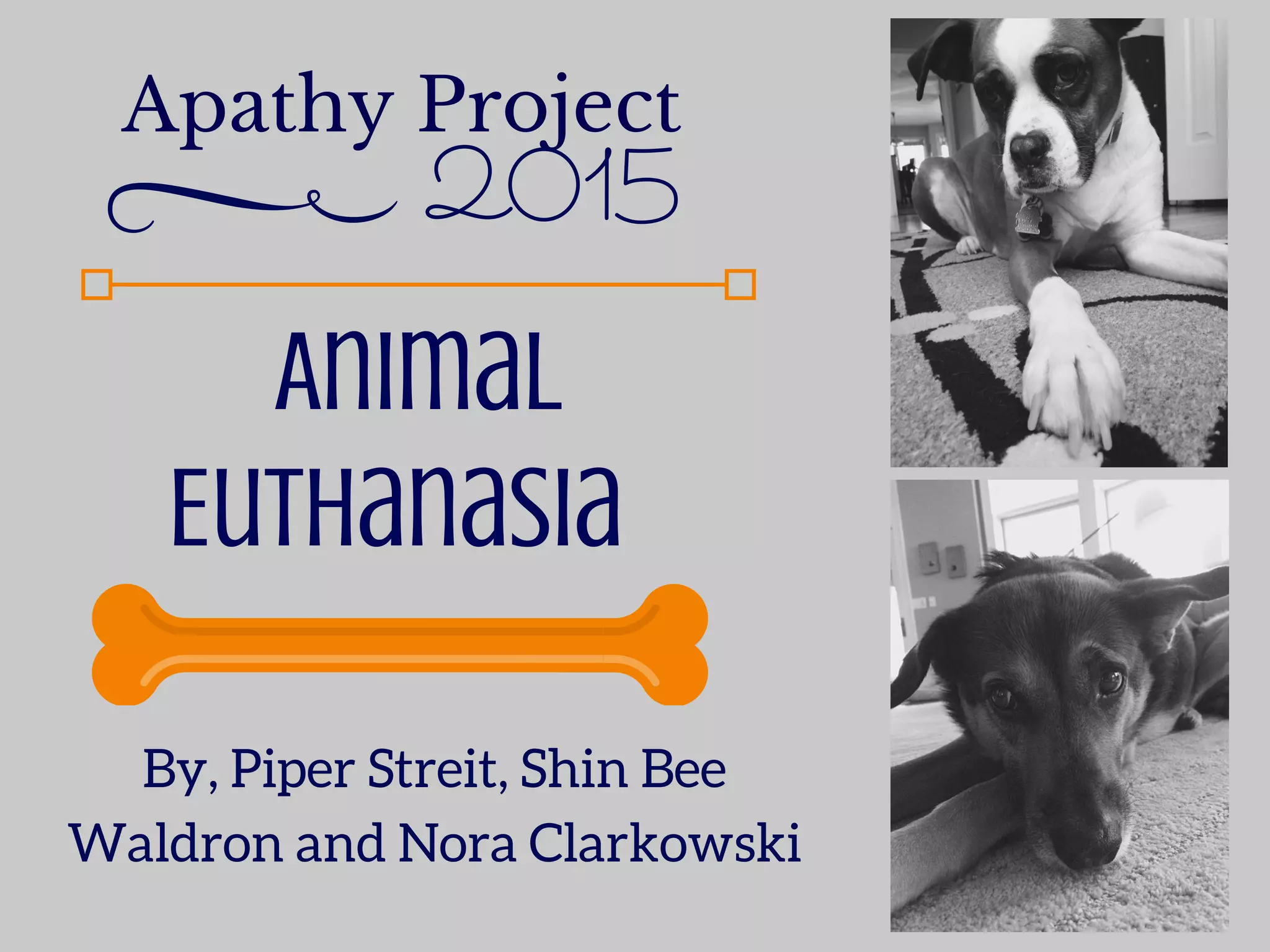 Apathy Presentation | PDF