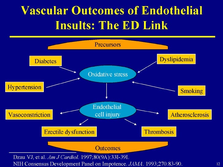 Yousry Endothelial Vs Erectile Dysfunction