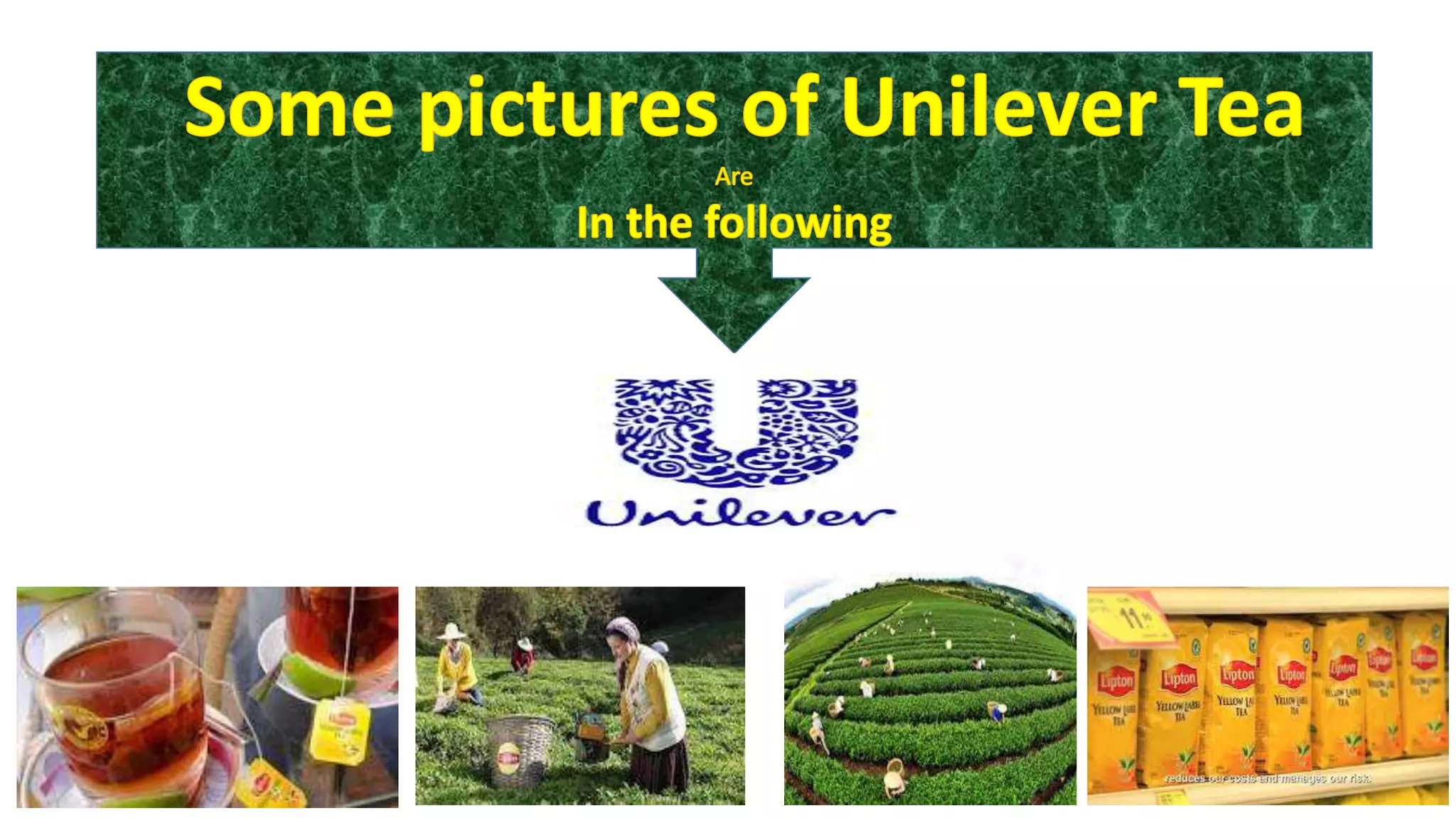 case solve on sustainable tea at Unilever | PPT