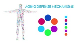 ageLOC Youth - The Science | PPT