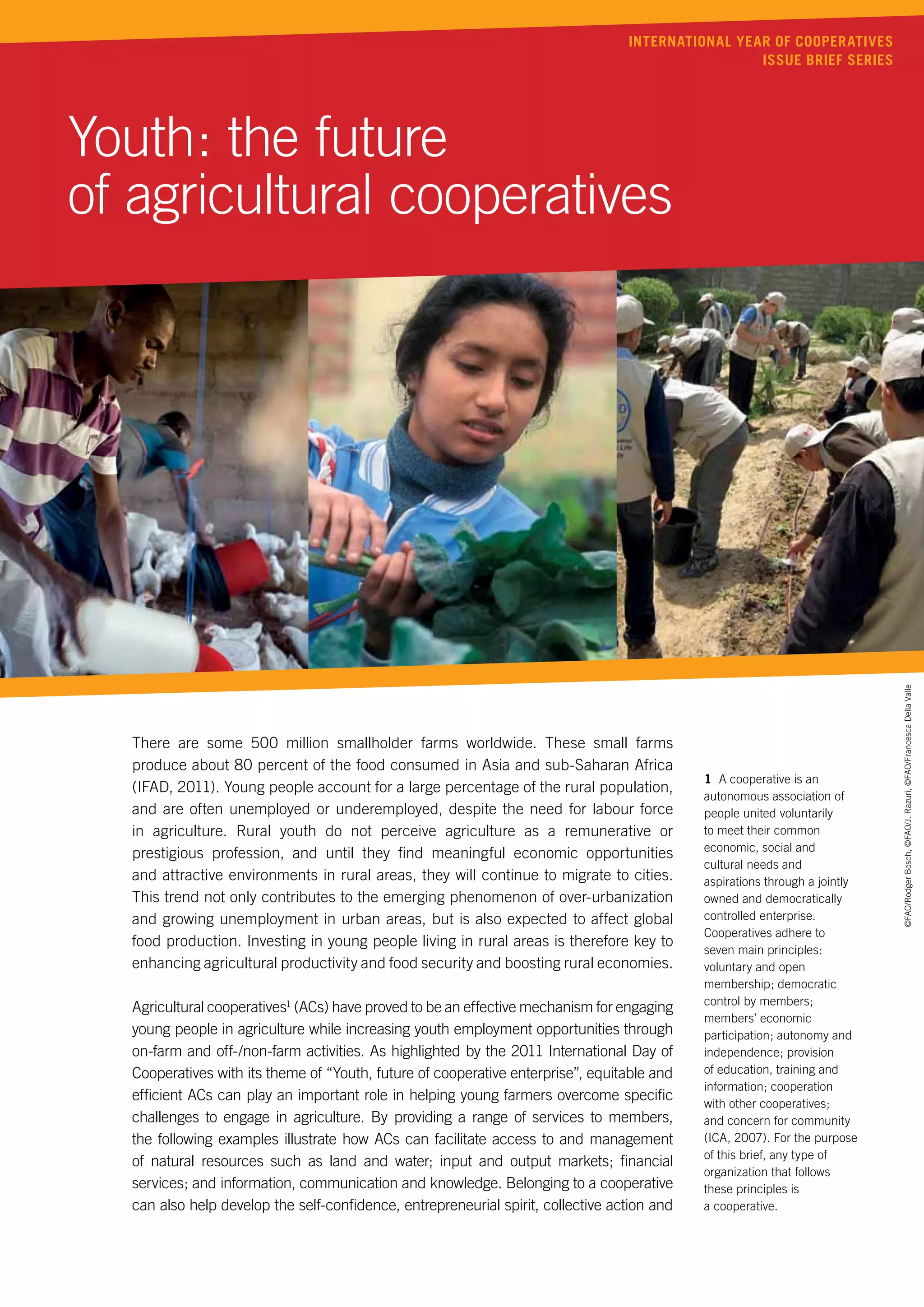 Youth and agriculture | PDF