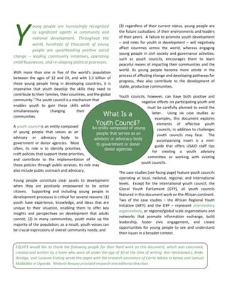 Youth councils an effective way to promote youth participation | PDF