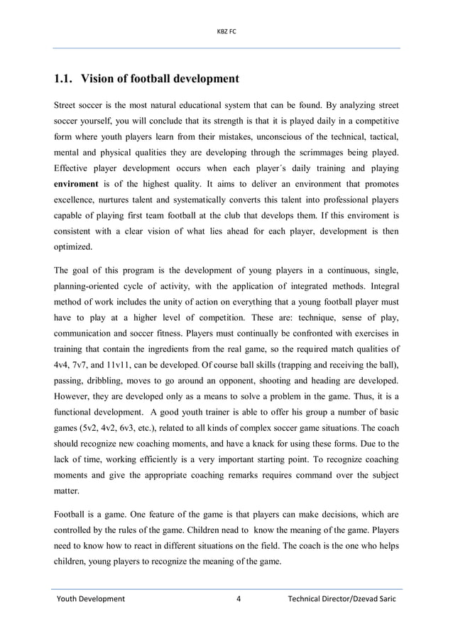 Youth development strategy | PDF