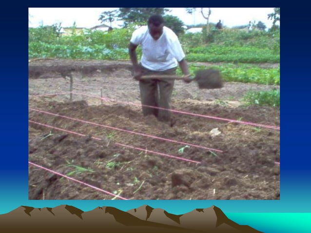 Sustainable Drip Irrigation System for Urban Gardens | PPTX | Agriculture | Industries