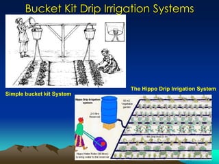 Sustainable Drip Irrigation System for Urban Gardens | PPTX | Agriculture | Industries