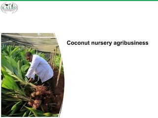 Youth Involvement in an Innovative Coconut Value Chain by Mwalimu Menza ...