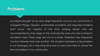 Youth League: Nurturing the substance of stray dogs for community ...
