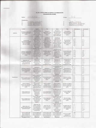 802 YOUTH ORGANIZATION ASSESSMENT TASK | PDF