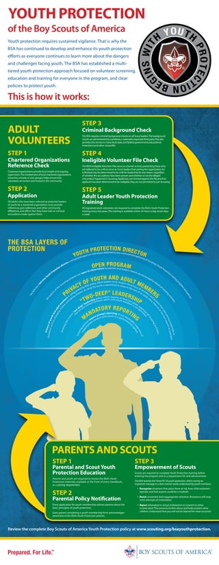 Youth Protection Information Graphic | PDF | Children\'s Health ...