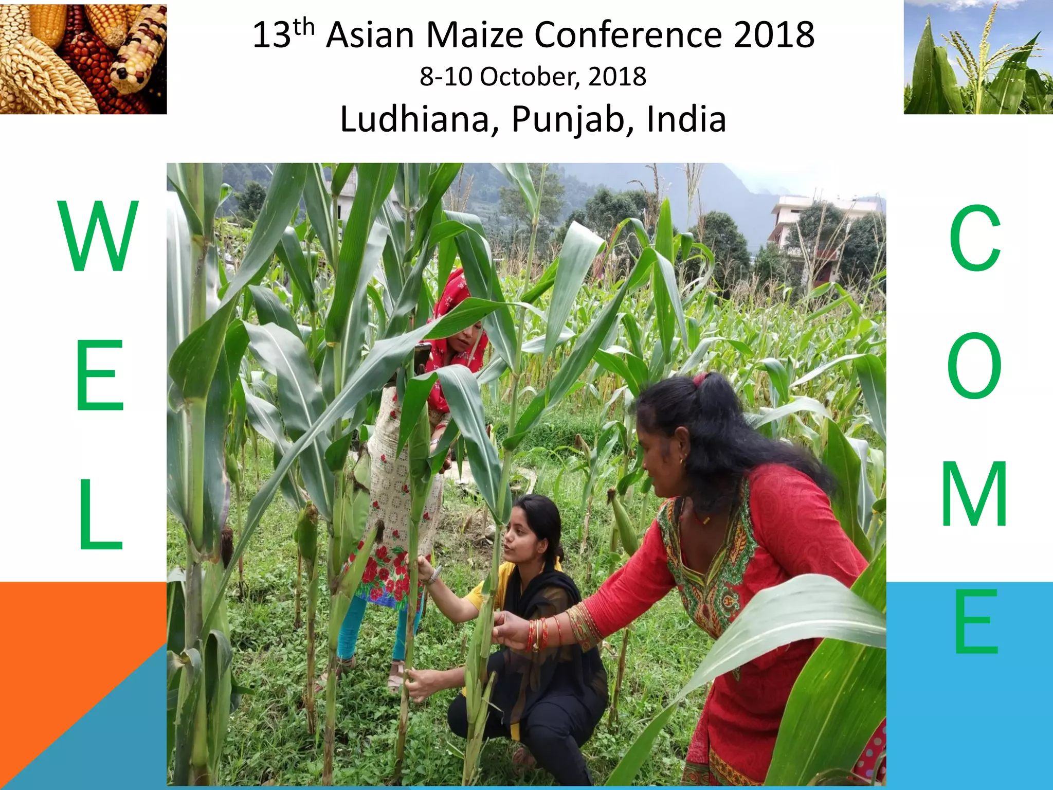 Social inclusion of young people and site-specific nutrient management ...