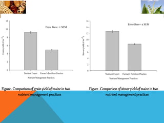 Social inclusion of young people and site-specific nutrient management ...