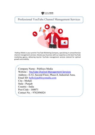 Publisys Media specializes in YouTube Channel Management Services ...