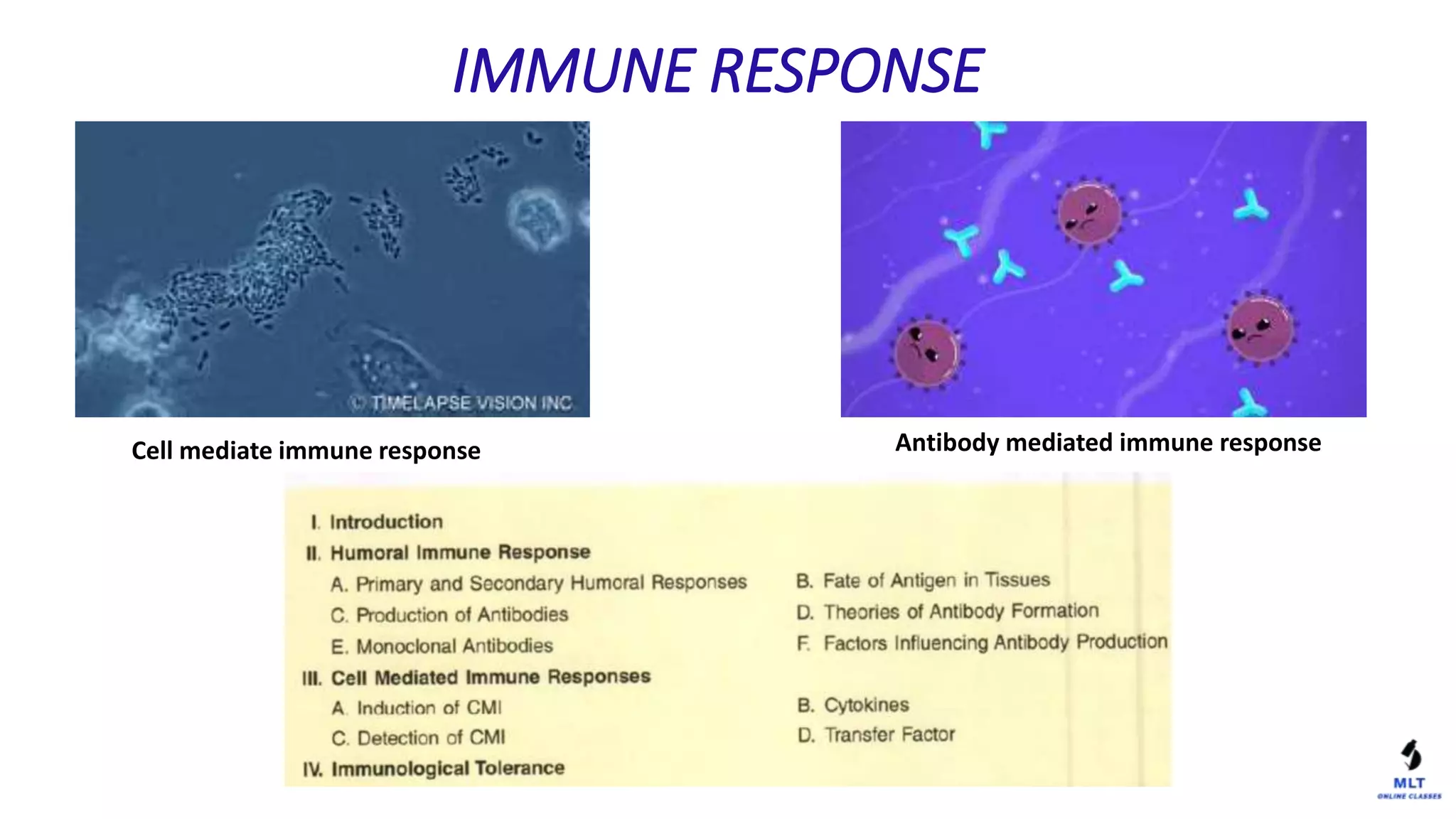 Humoral Immune response | PPTX