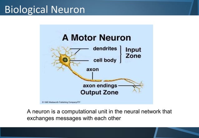 Deep Neural Networks For Youtuberecommendationsystem Ppt