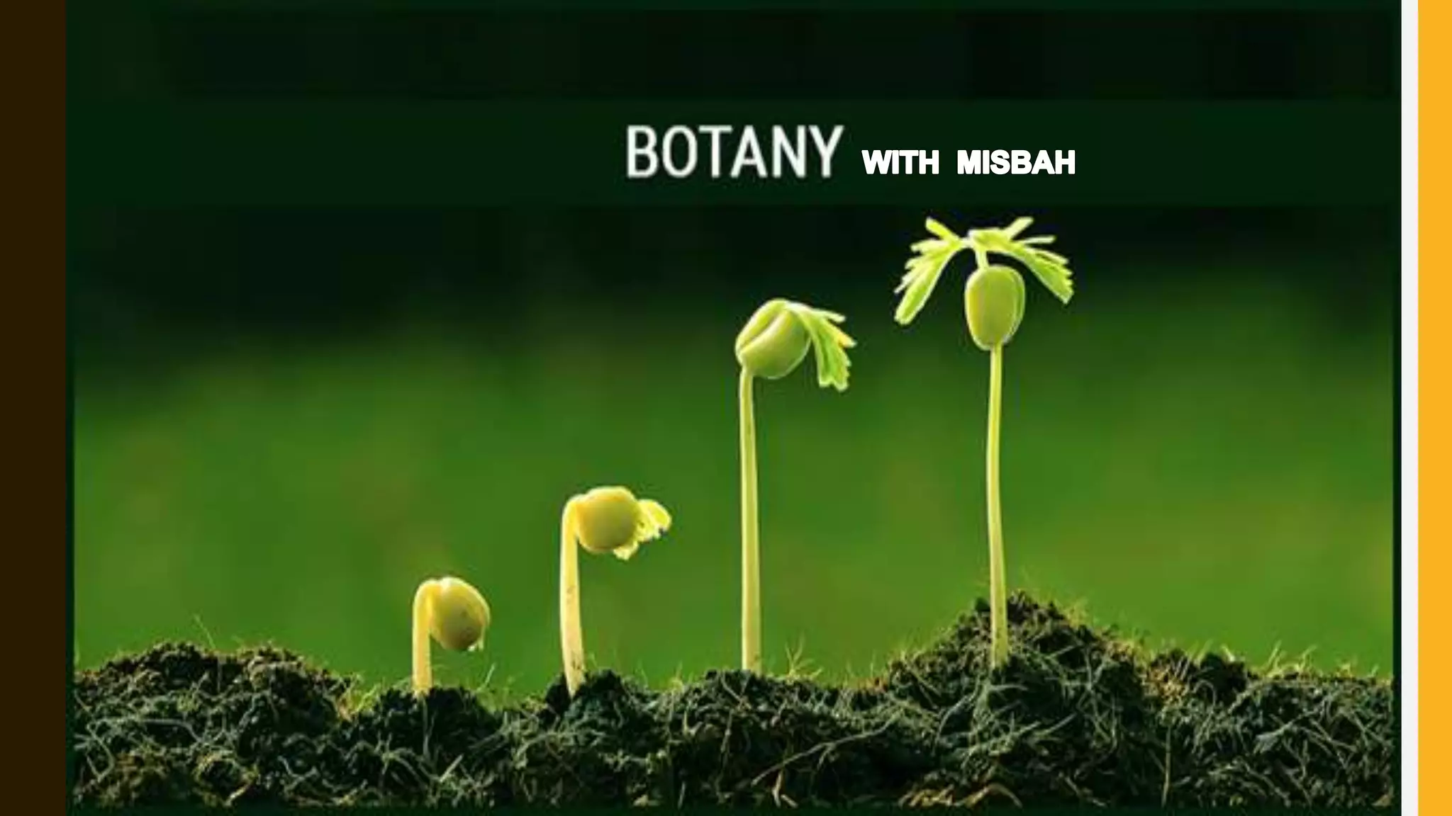 What is Botany? | PPT