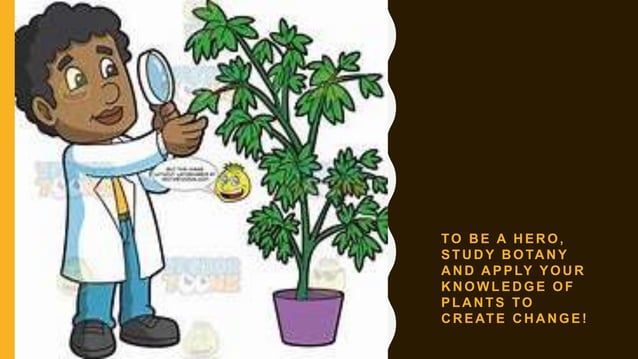 What is Botany? | PPT