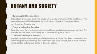 What is Botany? | PPT
