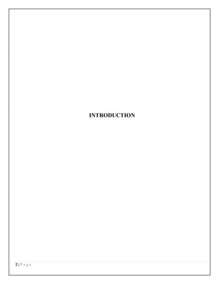 Youtube video download using python project report.pdf