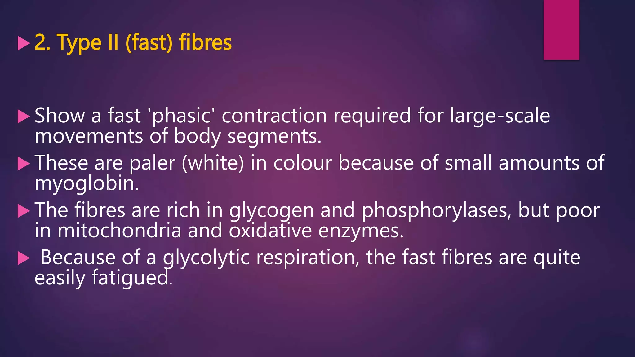 Types of fibers |slow and fast fibers| , fascicular architecture of ...