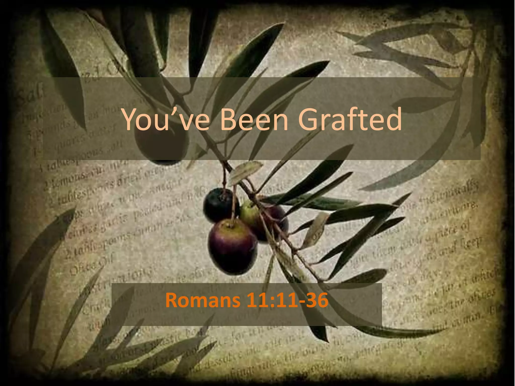Youve Been Grafted - Romans 11:11-36 | PPTX