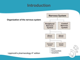 3.cholinergic drugs | PPT