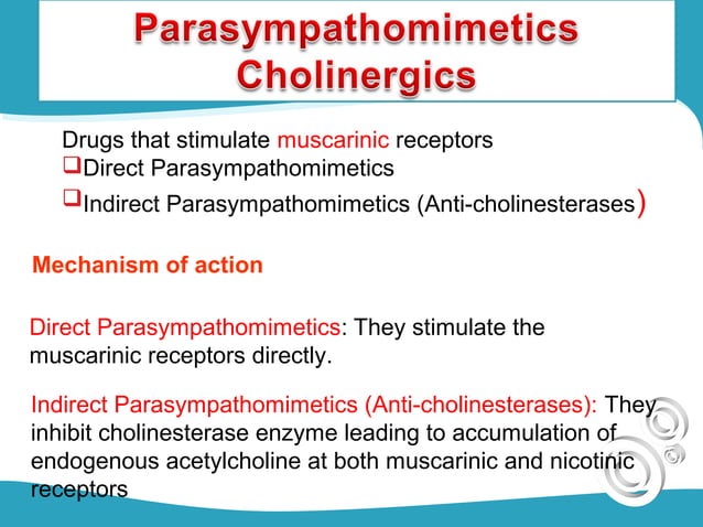 3.cholinergic drugs | PPT