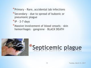 Yersinia Pasteurella Francisella | PPTX