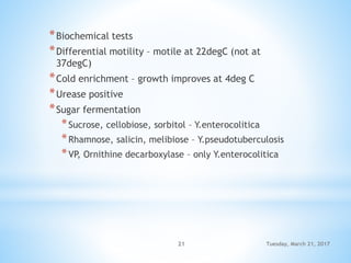 Yersinia Pasteurella Francisella | PPTX