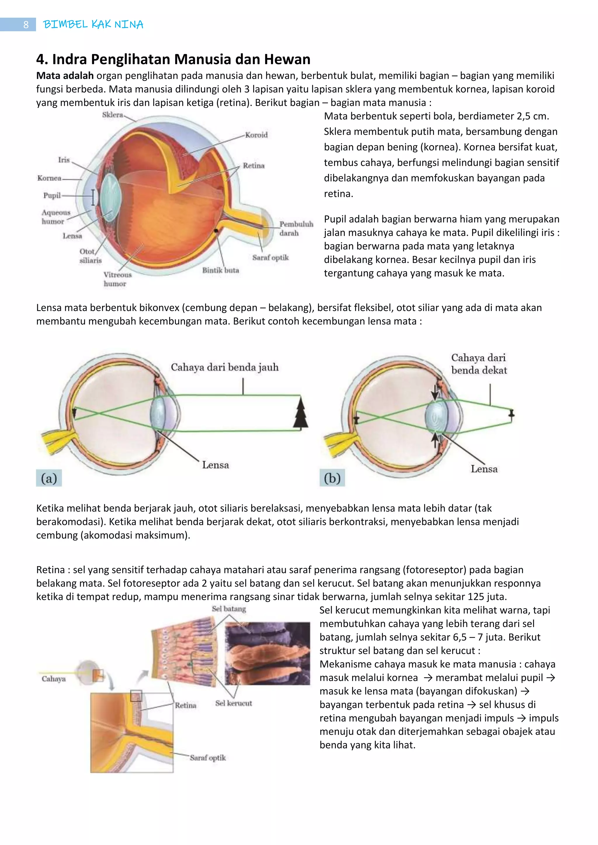 CAHAYA_DAN_OPTIK_KELAS_8.docx