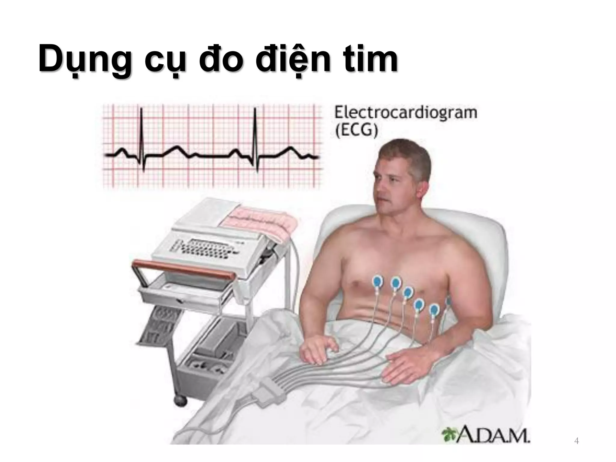 CÁC BƯỚC ĐỌC ECG | PDF