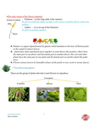flowers parts and their functions.pdf
