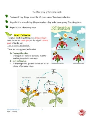 flowers parts and their functions.pdf