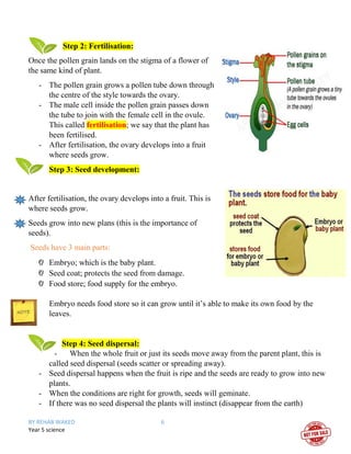 flowers parts and their functions.pdf