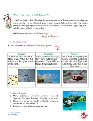flowers parts and their functions.pdf