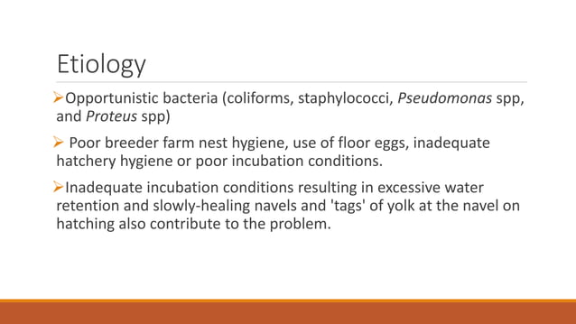 Omphalitis in Poultry - Inflammation of Yolk Sac | PPTX | Infectious ...