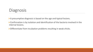 Omphalitis in Poultry - Inflammation of Yolk Sac | PPTX