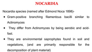General microbiology fungi Actinomycetes | PPTX