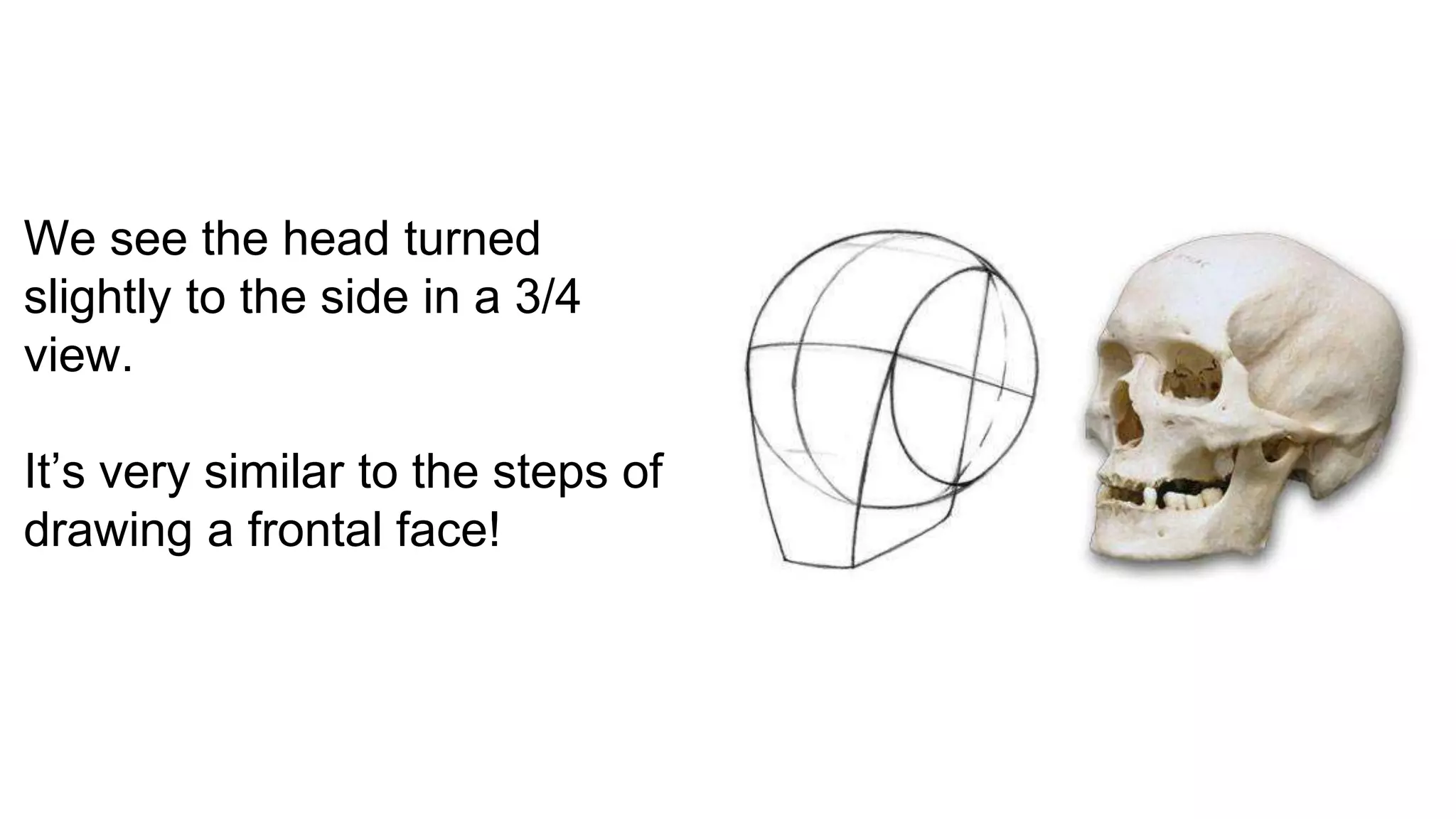 3/4 View Portraiture | PPTX