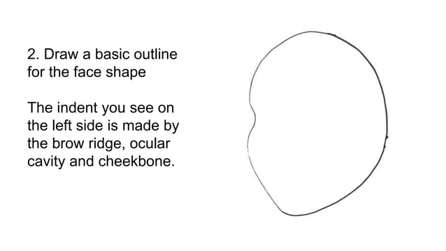 3/4 View Portraiture | PPTX | Drawing and Sketching | Arts and Crafts