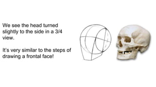 34 View Face Drawing