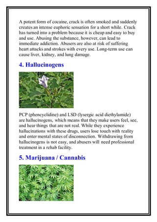 bio investigatory project on addiction class xii | DOCX